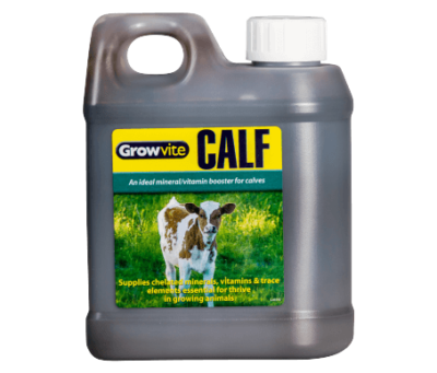 Calf - Growvite
